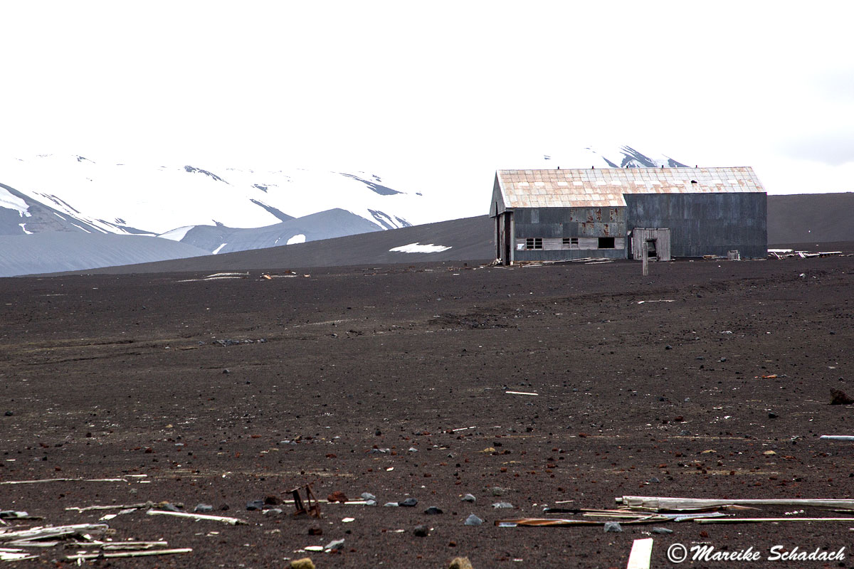 Deception Island – Lost Place in der Antarktis | Fernweh-Motive