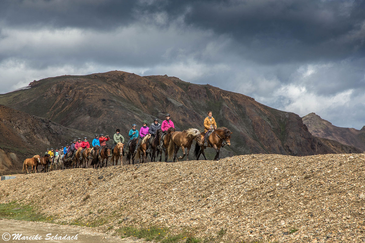 Mit Land Rover Serie II nach Island - ABC für einen "Offroad"-Trip