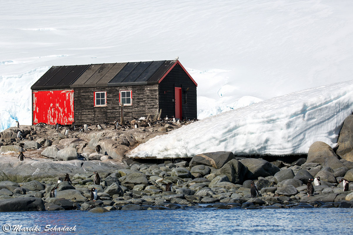 Port Lockroy – Südlichstes Museum der Welt | Fernweh-Motive