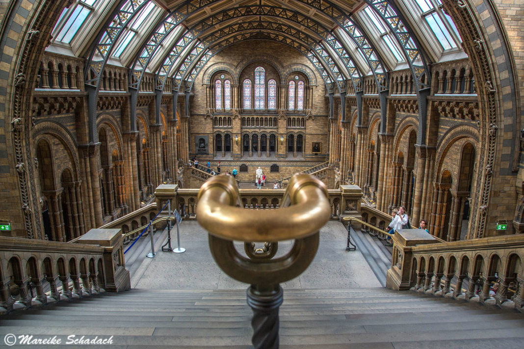 Sehenswertes London - 13 Highlights für euren Kurztrip | Fernweh-Motive