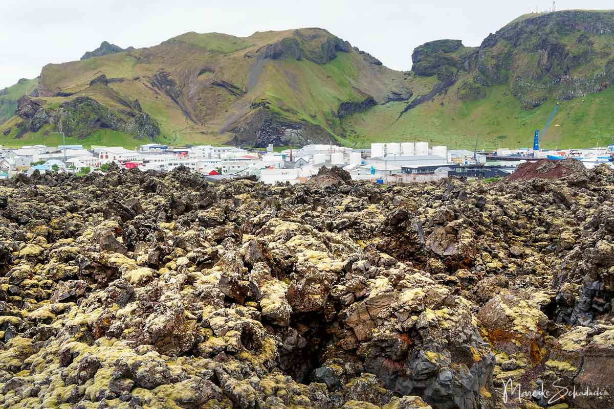 Pompeji von Island – Ausflug zum Vulkan Eldfell der Westmännerinseln