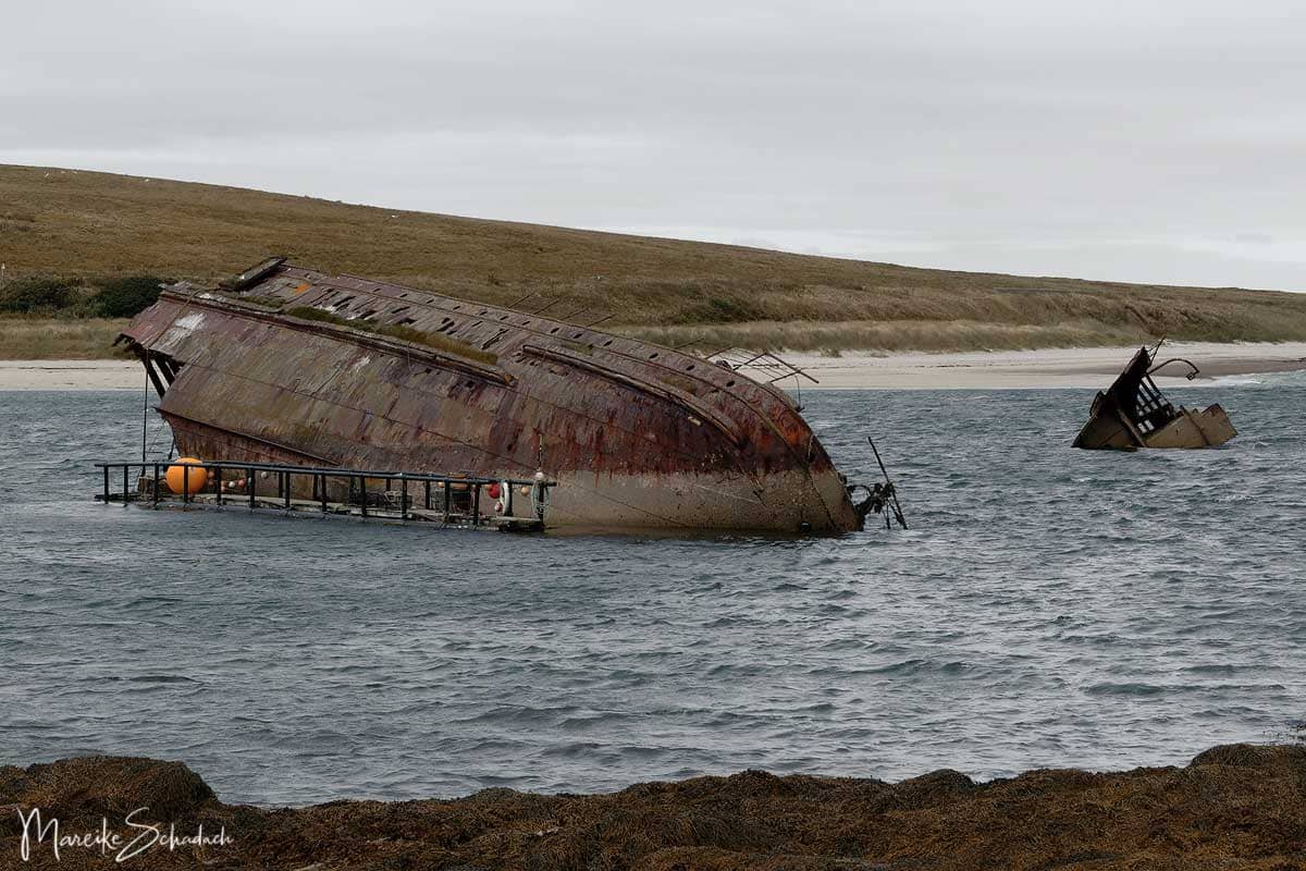 Orkney Inseln: Sehenswertes und Tipps für euren Roadtrip mit Zelt