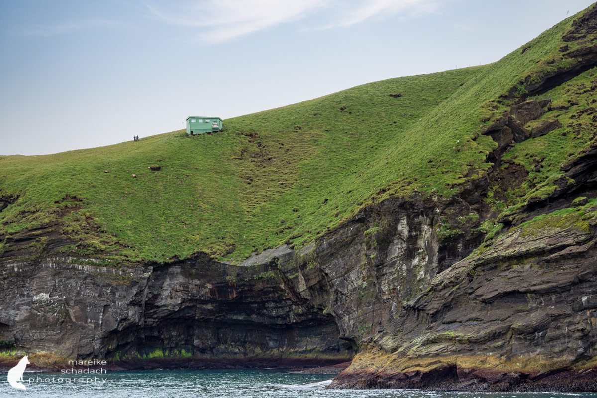 Highlights einer Bootstour um die Westmännerinsel Heimaey