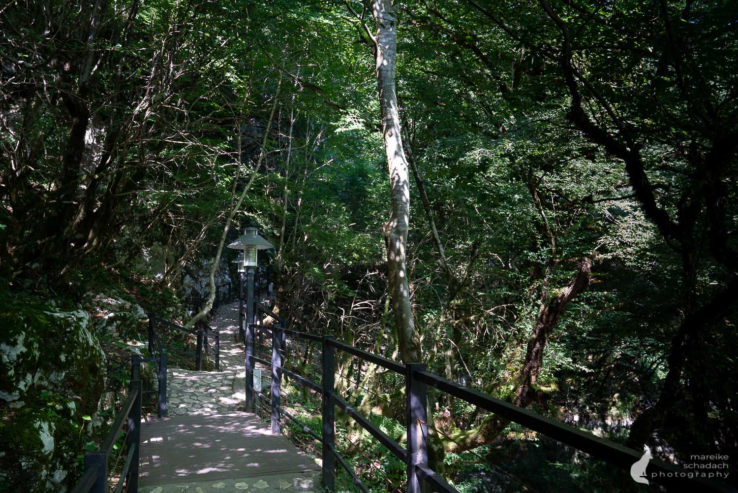 Martvili Canyon – Ausflug zu dem schönsten Canyon in Georgien