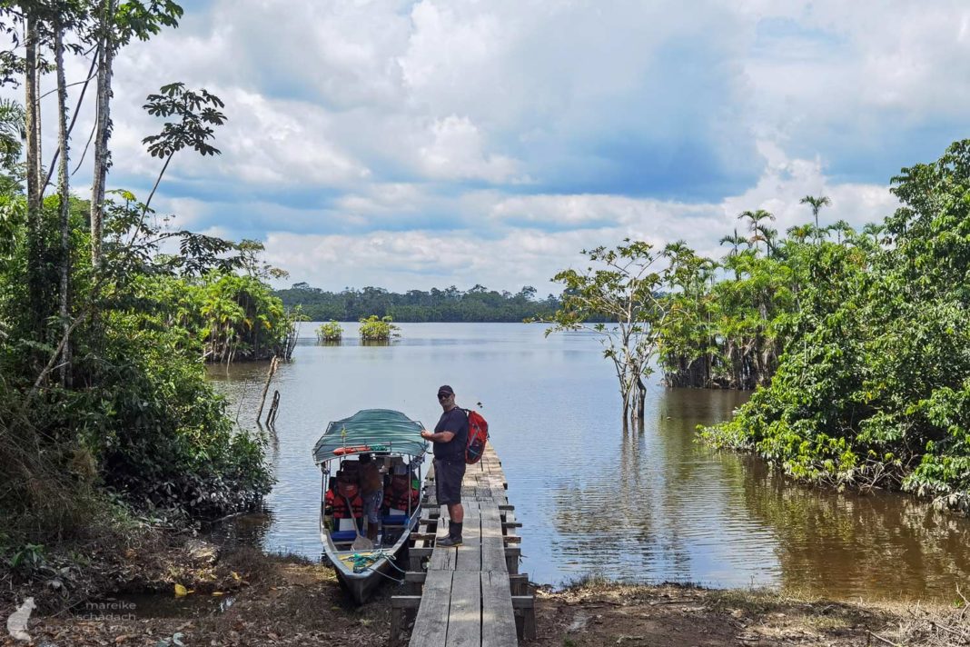 Amazonas von Ecuador: Reisebericht + Tipps für den Rio Napo