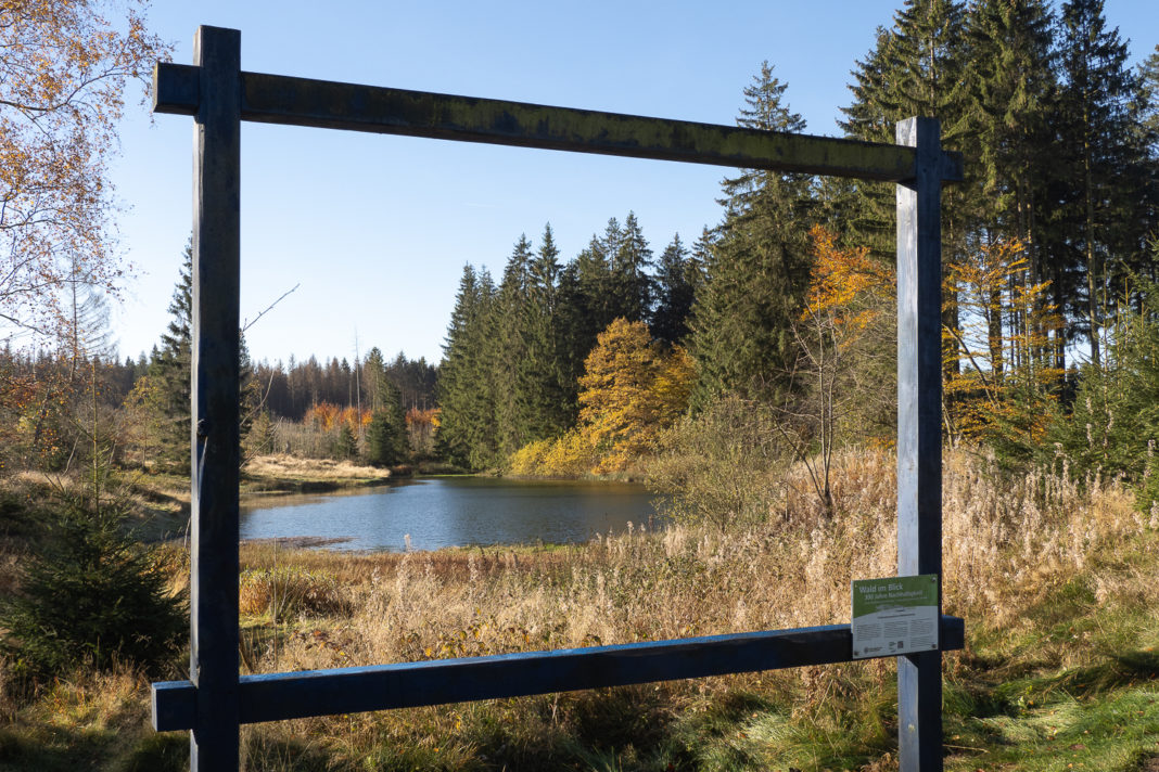 Harzer Hexenstieg - Highlights und Tipps für 100 km wandern im Harz