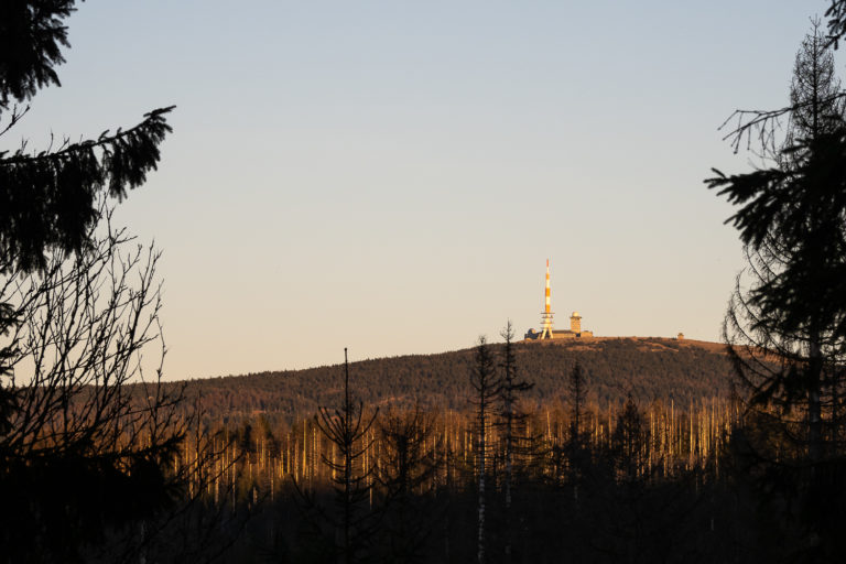 Harzer Hexenstieg - Highlights und Tipps für 100 km wandern im Harz