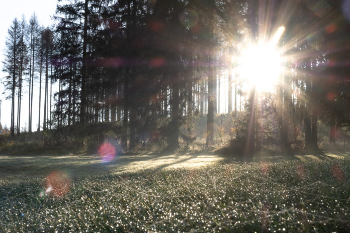Harzer Hexenstieg - Highlights und Tipps für 100 km wandern im Harz