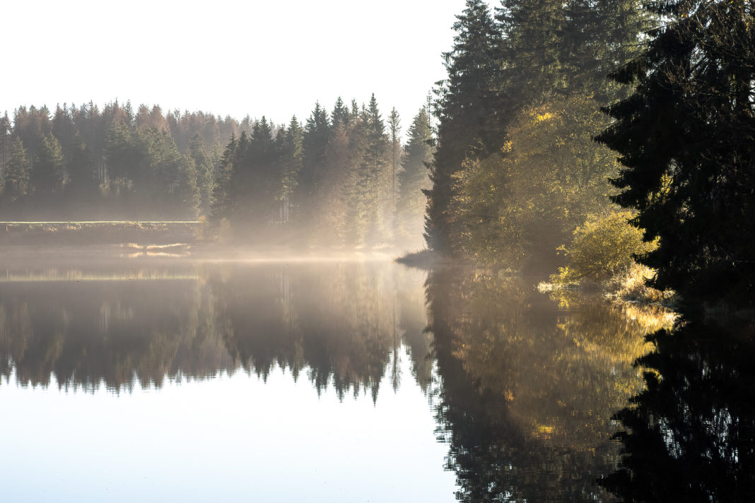 Harzer Hexenstieg - Highlights und Tipps für 100 km wandern im Harz